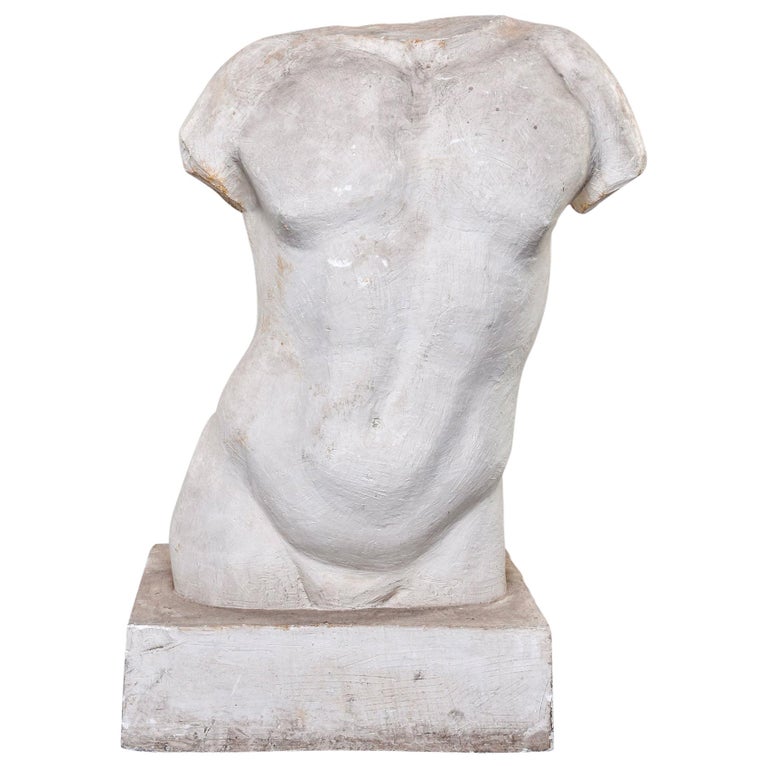 Plaster Bust of Male Torso at 1stDibs