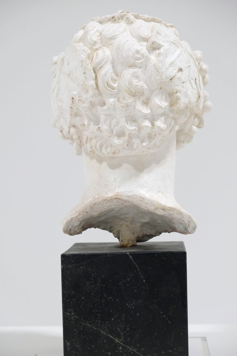 Plaster Dionysus/Bacchus Head on Virginia Soapstone Base Steven ...
