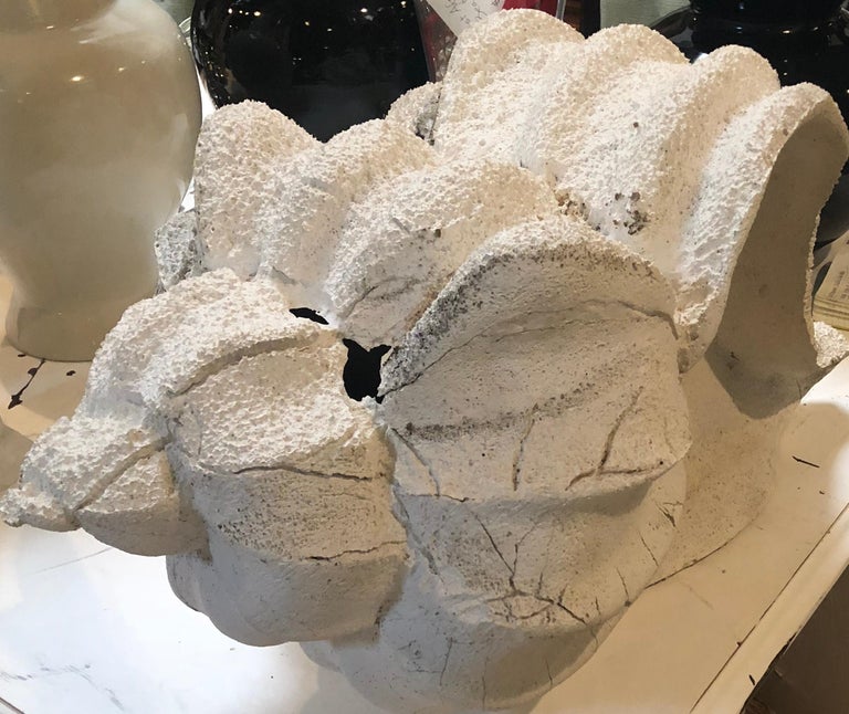 Plaster Shell For Sale at 1stDibs