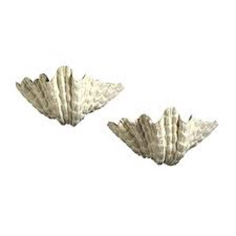 Plaster Shell Sculpted Sconce For Sale at 1stDibs