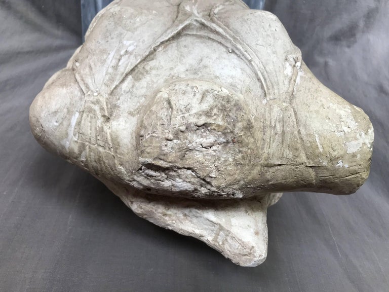 Plaster Torso After the Antique at 1stDibs