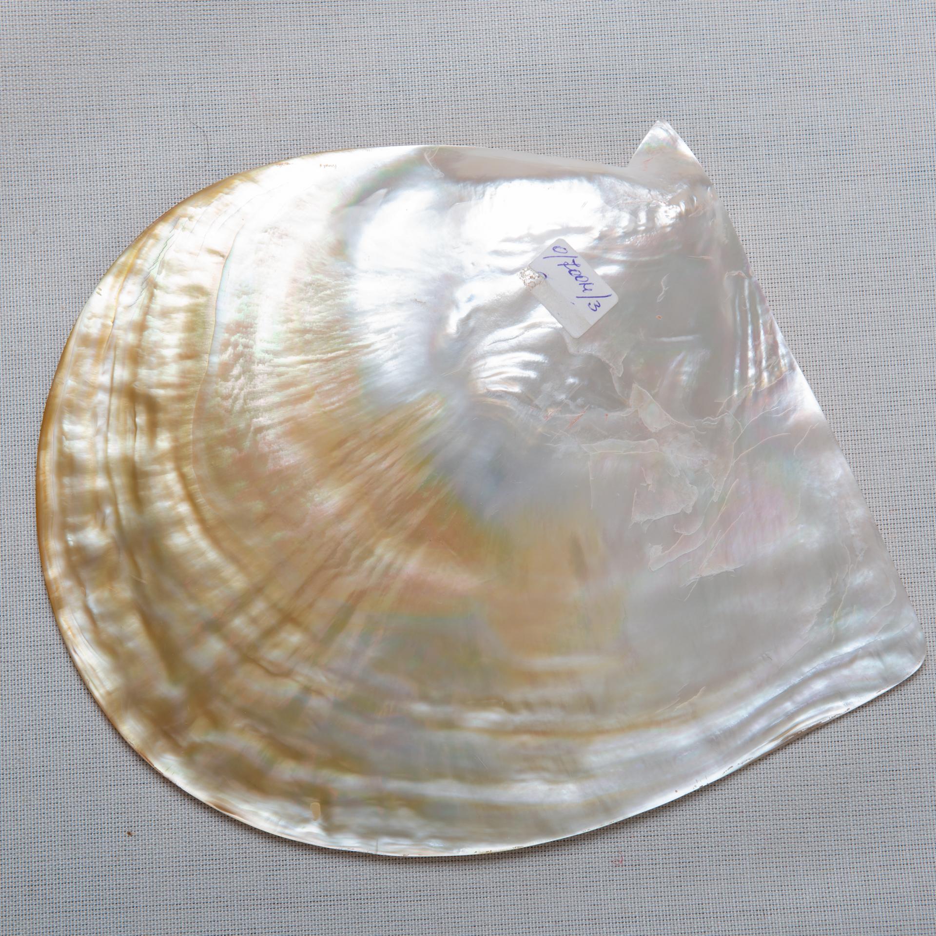Plates Made of Polished Mother of Pearl For Sale at 1stDibs | mother of ...