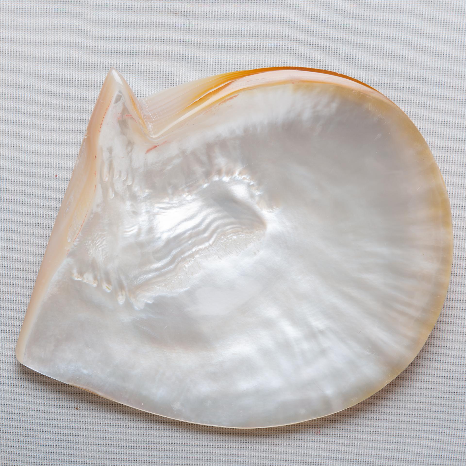 Plates Made of Polished Mother of Pearl For Sale at 1stDibs | mother of ...