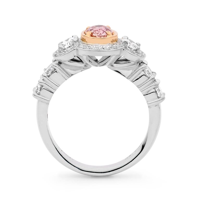 Customizable Platinum Australian Argyle Pink Diamond Halo Ring For Sale at 1stDibs