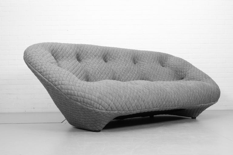 Ploum 3 seater Sofa and Ottoman by E. and R. Bouroullec for Ligne Roset ...