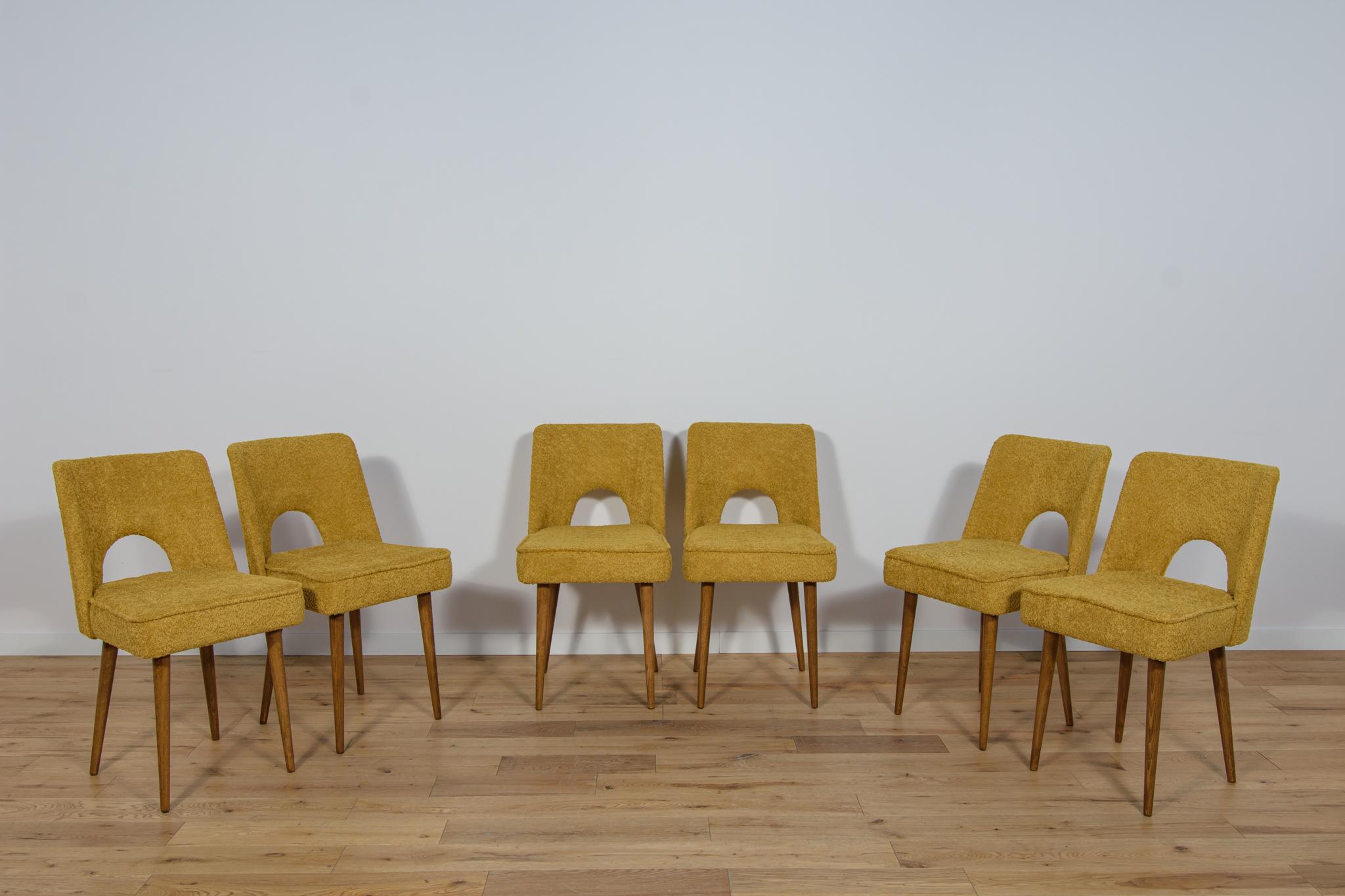 Polish Shell Chairs from Bydgoszcz Furniture Factory, 1960s, Set of 6 ...