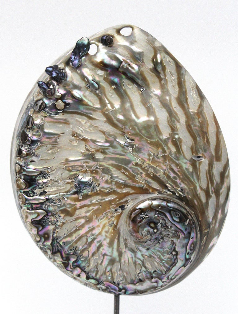 Polished Abalone Shell with Baroque Pearls on a Polished Agate Base at ...