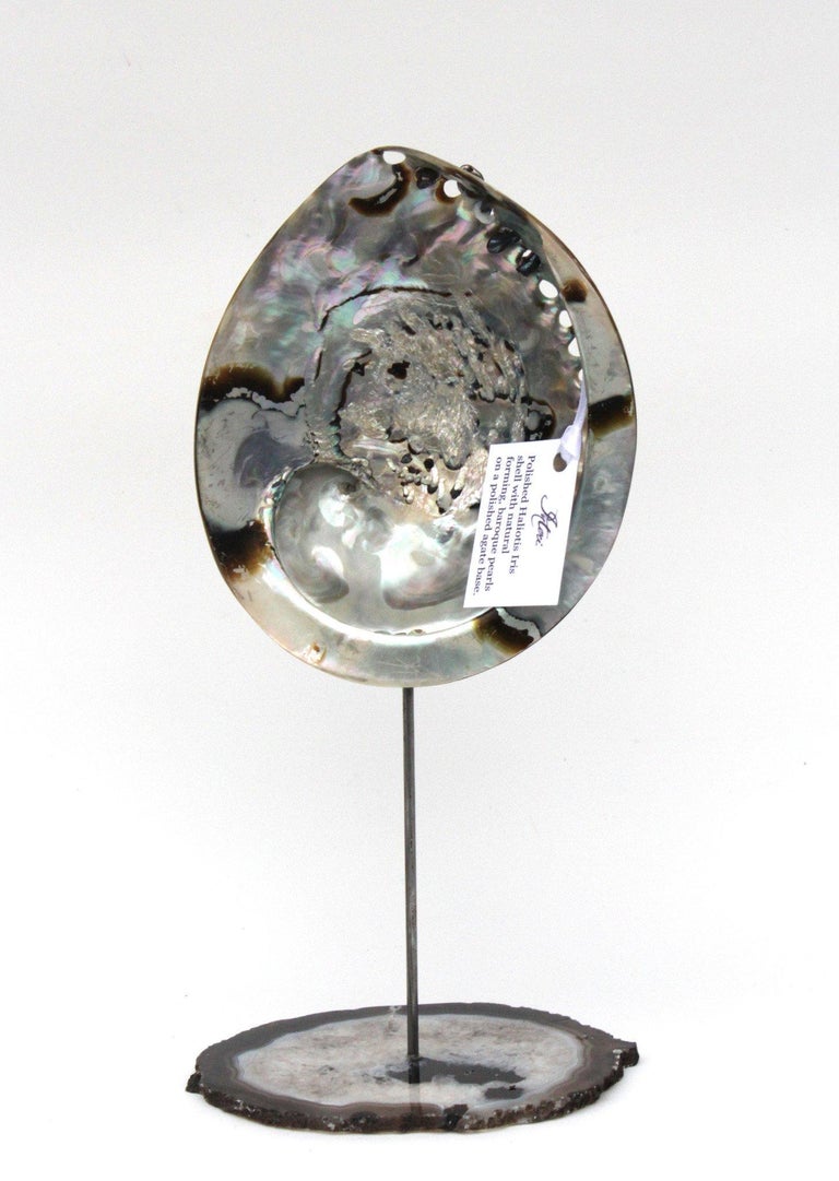 Polished Abalone Shell with Baroque Pearls on a Polished Agate Base at ...