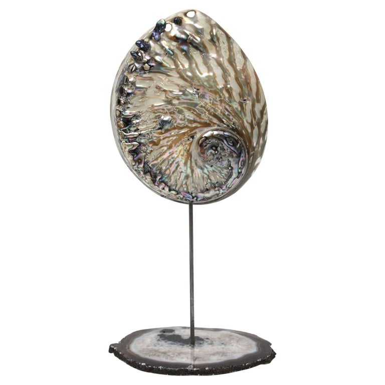 Polished Abalone Shell with Baroque Pearls on a Polished Agate Base at ...