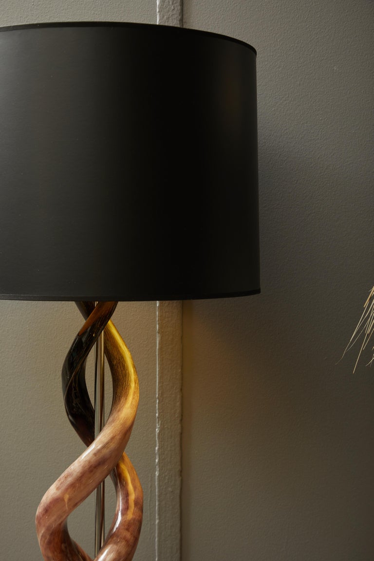 Standing Lamp-Polished Kudu Horn Double Twist For Sale at 1stDibs