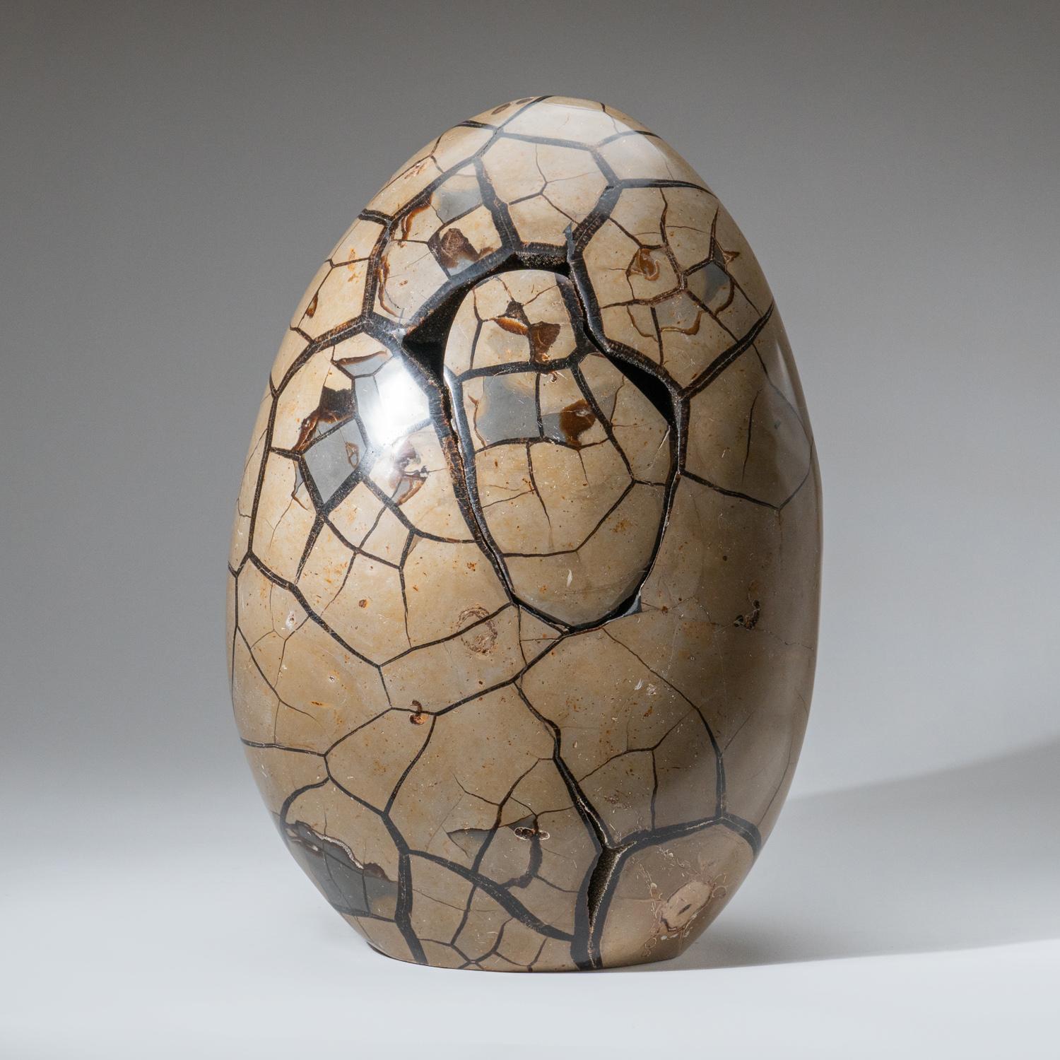 Polished Septarian Druzy Geode Egg from Madagascar (43.5 lbs) For Sale ...