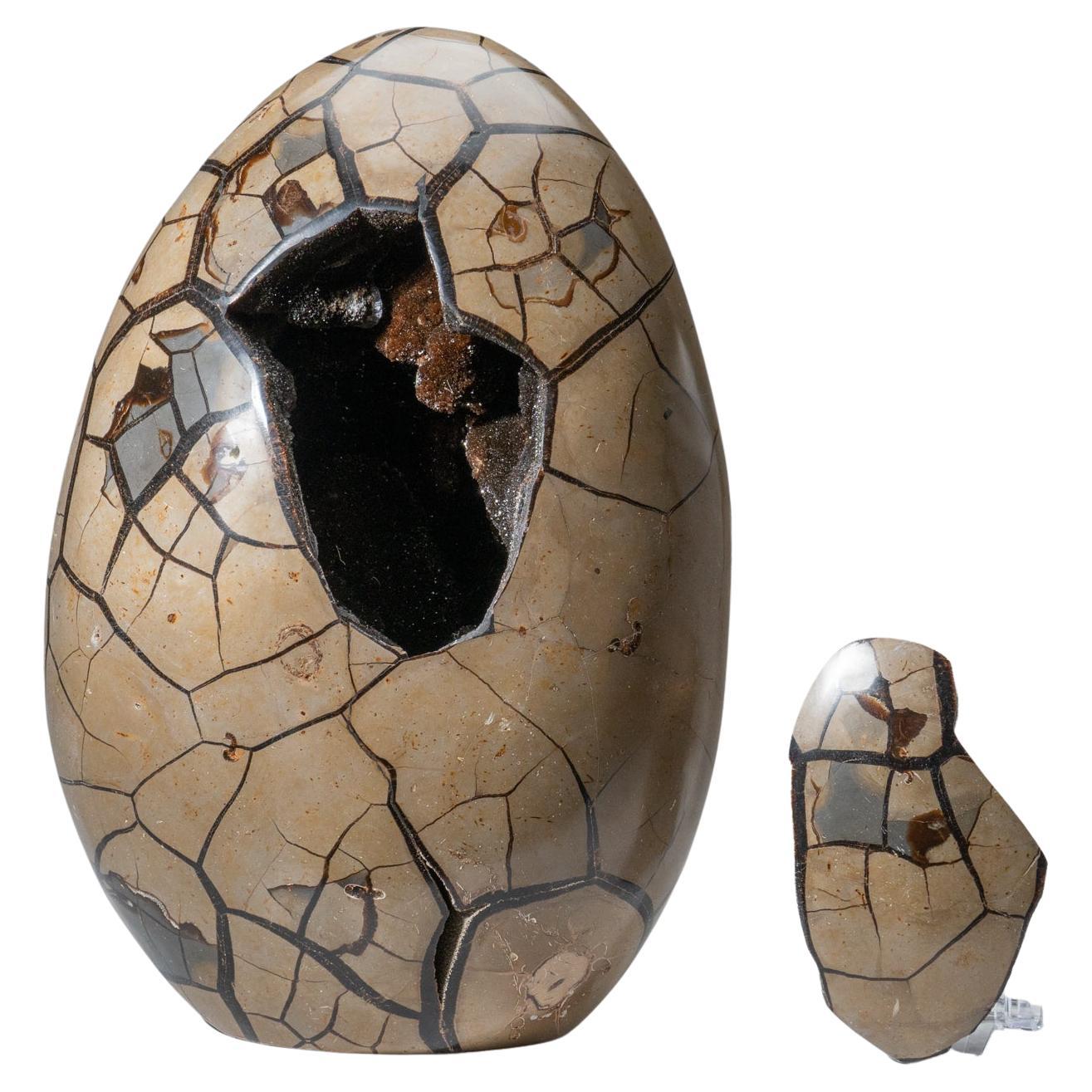 Polished Septarian Druzy Geode Egg from Madagascar (43.5 lbs) For Sale ...