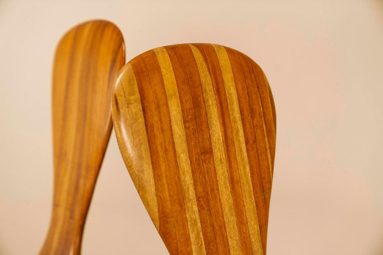 Polyte Solet "La Sterne" Dining Chairs in Lingue Wood, France 2000s For ...