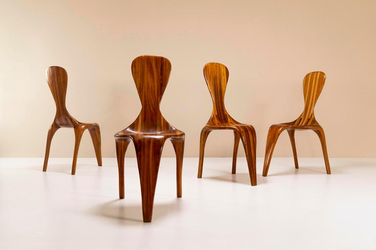 Polyte Solet "La Sterne" Dining Chairs in Lingue Wood, France 2000s For ...