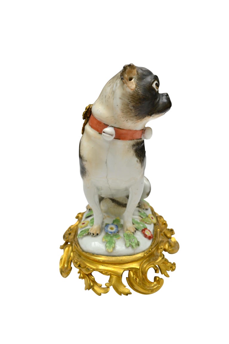 Porcelain Pug Dog on a Gilt Bronze Rococo Base after a Model by Johann ...
