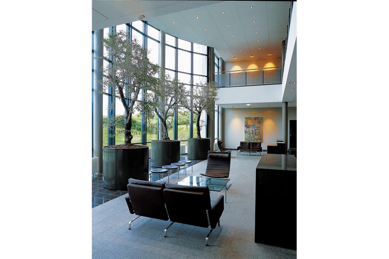 Poul Kjærholm Model Pk24 Leather For Sale at 1stDibs | fritz hansen pk24