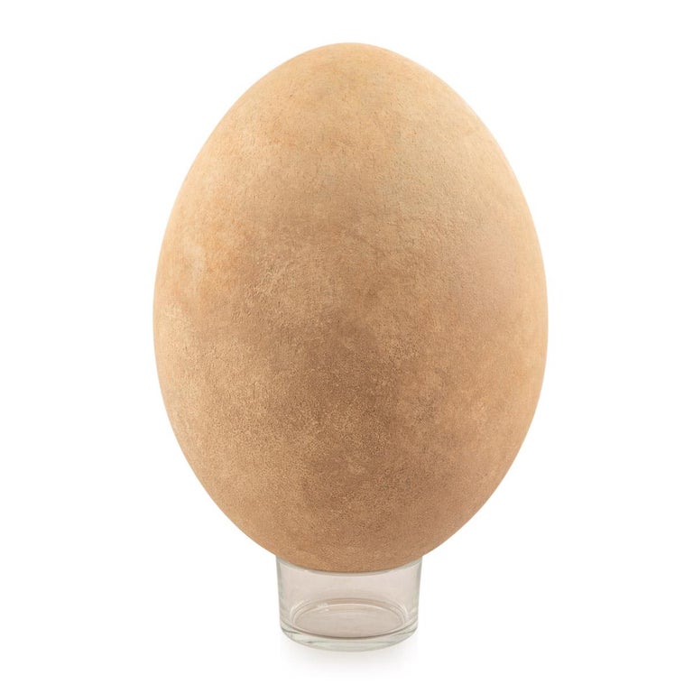 dodo bird egg size