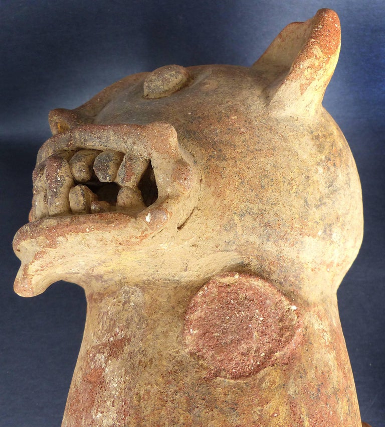 Pre-Colombian Grotesque Animal Terracotta Figure at 1stDibs