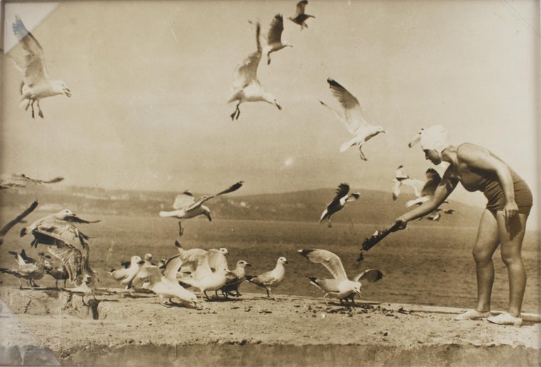 Press Agency Trampus - On the Beach with the Seagulls, circa 1930 ...