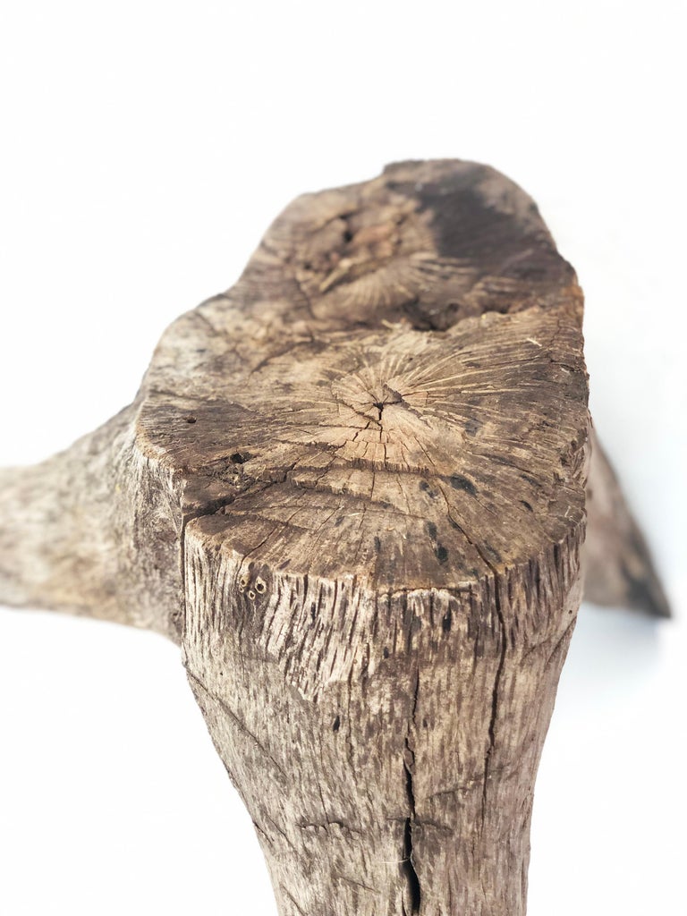 Primitive Mexican Oakwood Milking Stool from México For Sale at 1stDibs ...
