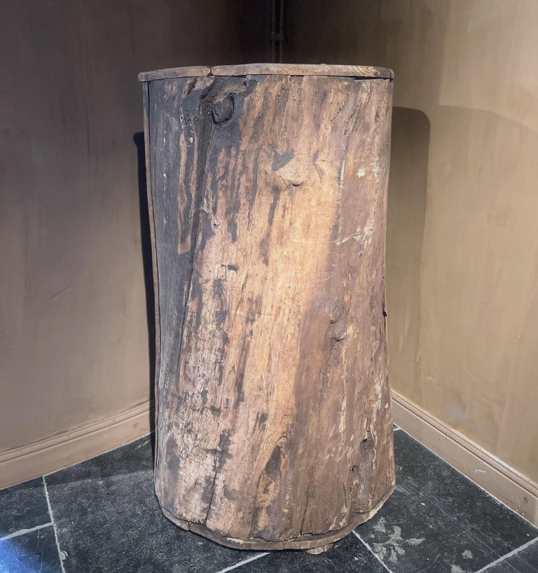 Primitive Tree Trunk Cupboard, 19th Century For Sale at 1stDibs