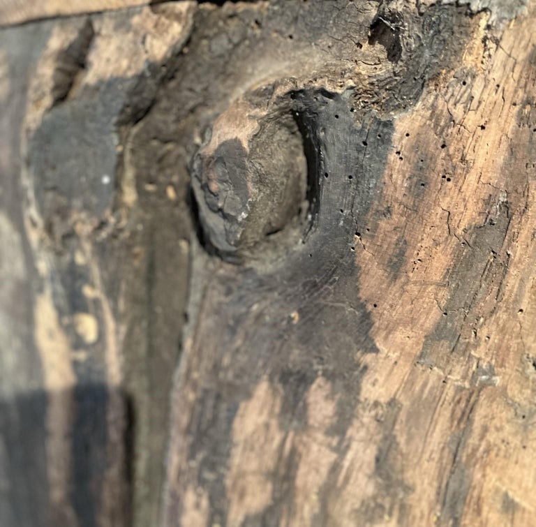 Primitive Tree Trunk Cupboard, 19th Century For Sale at 1stDibs