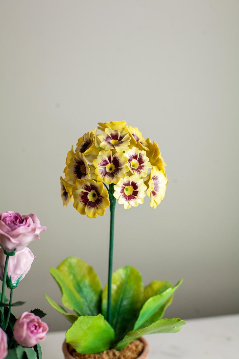 French Porcelain Primula For Sale at 1stDibs