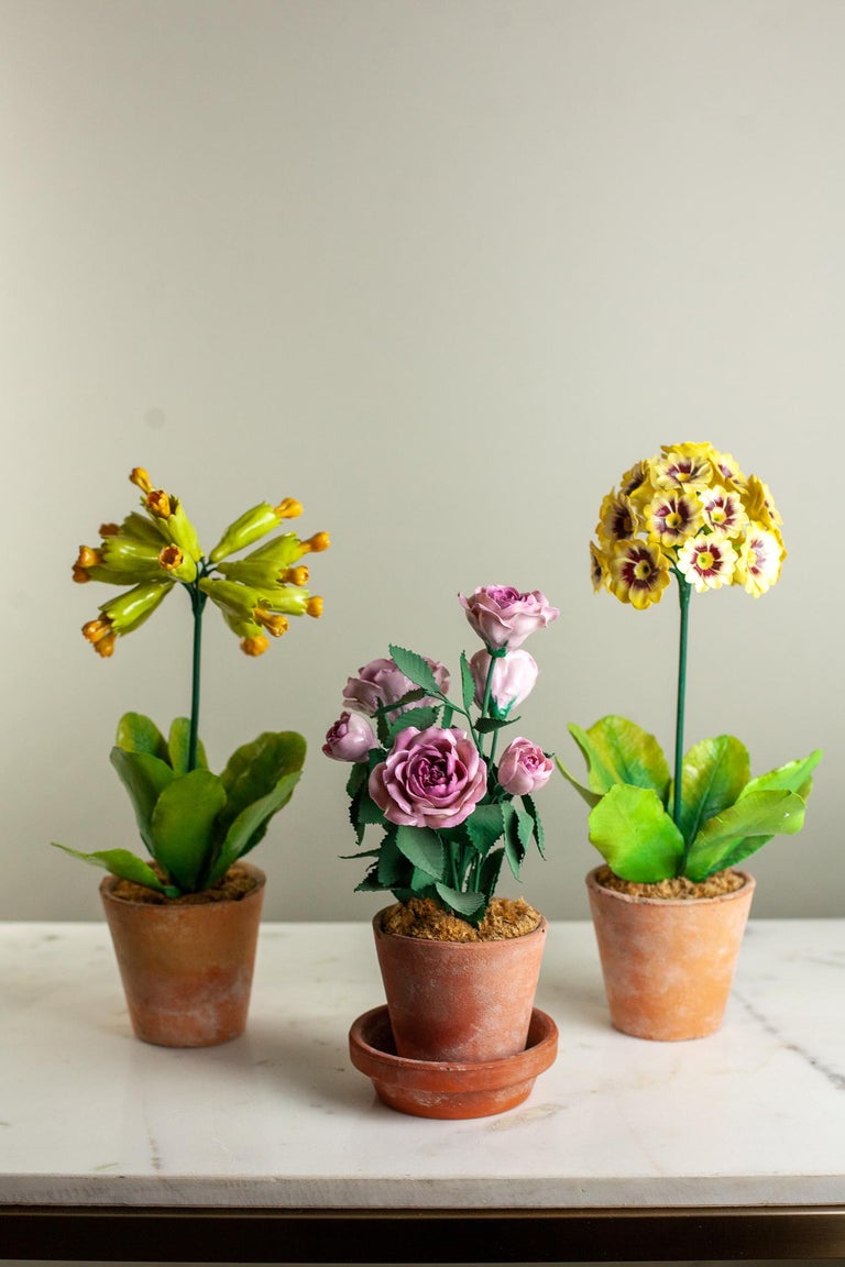 French Porcelain Primula For Sale at 1stDibs
