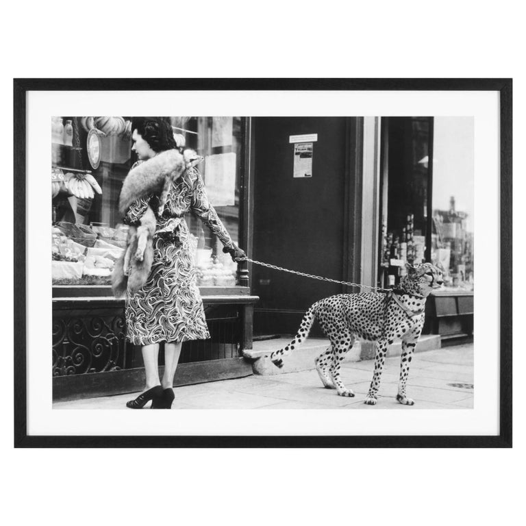 Print Elegant Woman with Cheetah For Sale at 1stDibs