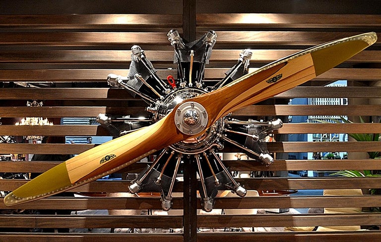 Propeller and Stellar Aircraft Engine at 1stDibs | stellar engine