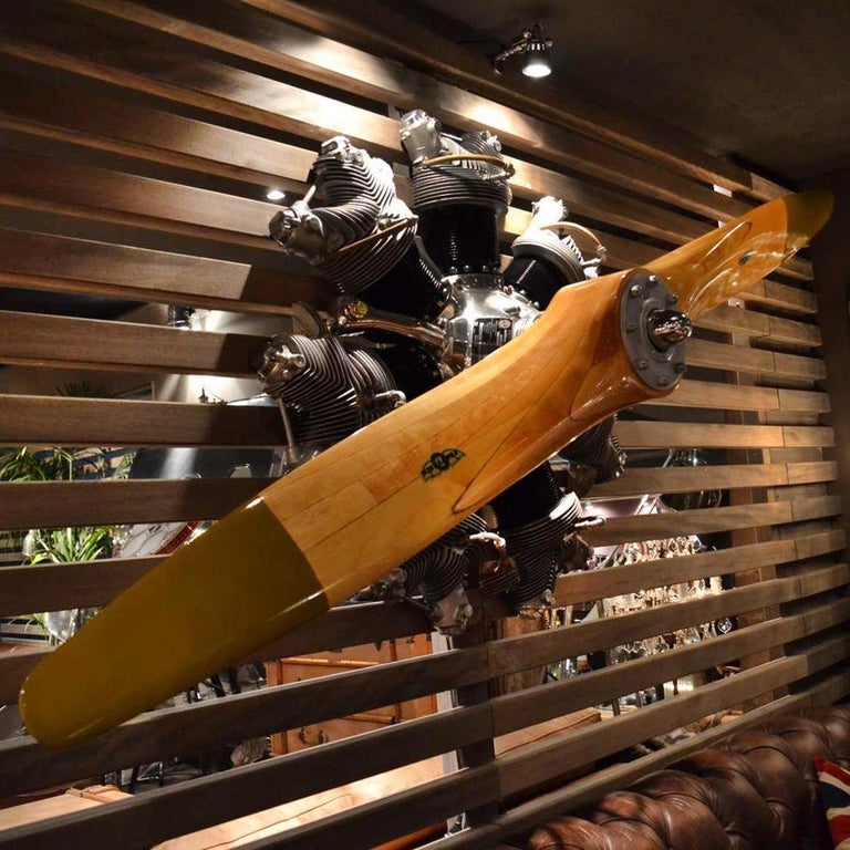 Propeller and Stellar Aircraft Engine at 1stDibs | stellar engine