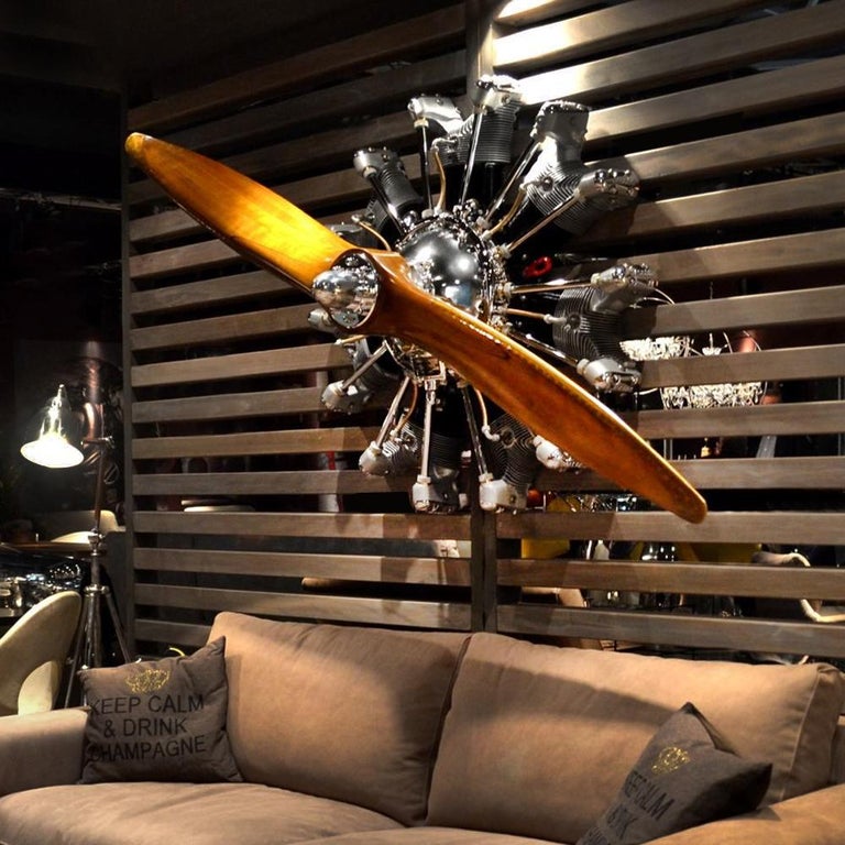 Propeller and Stellar Aircraft Engine at 1stDibs | stellar engine