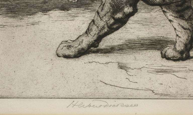 Prowling Tiger by Herbert Dicksee 1915, Etching, Signed in Pencil at ...