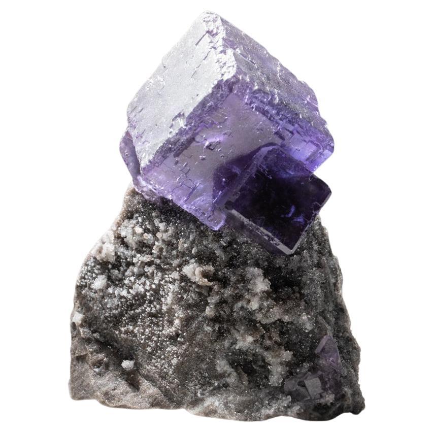 Purple Fluorite Mineral Cluster with Dark-Purple Cubic Crystals From ...