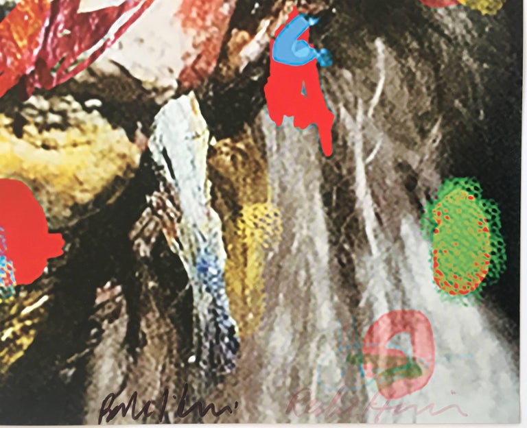 Rachel Harrison - Gloria For Sale at 1stDibs