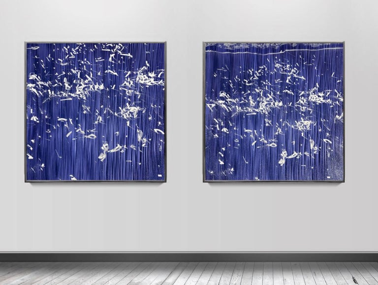 Raffaele Ferrari - Algae - Diptych - Aerial photography Ltd Ed of 5 For ...
