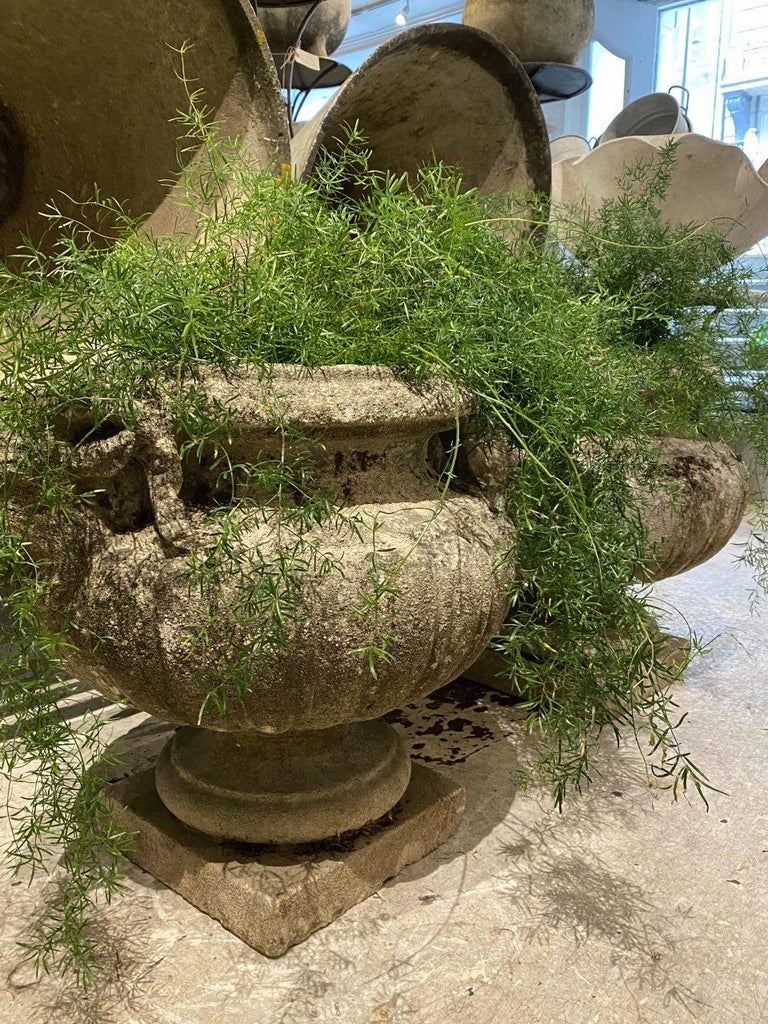 Raised Planter-jardinière, Rams Head Side Decoration, France at 1stDibs