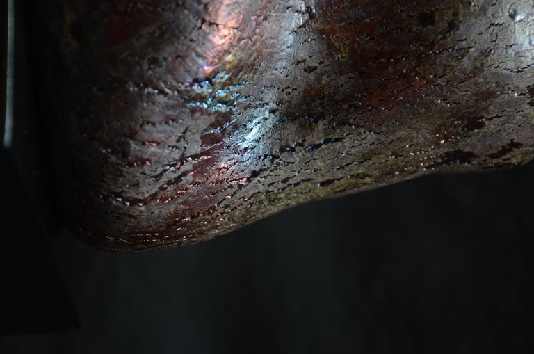 Raku Skin Sculpture by Vica Ceramica For Sale at 1stDibs