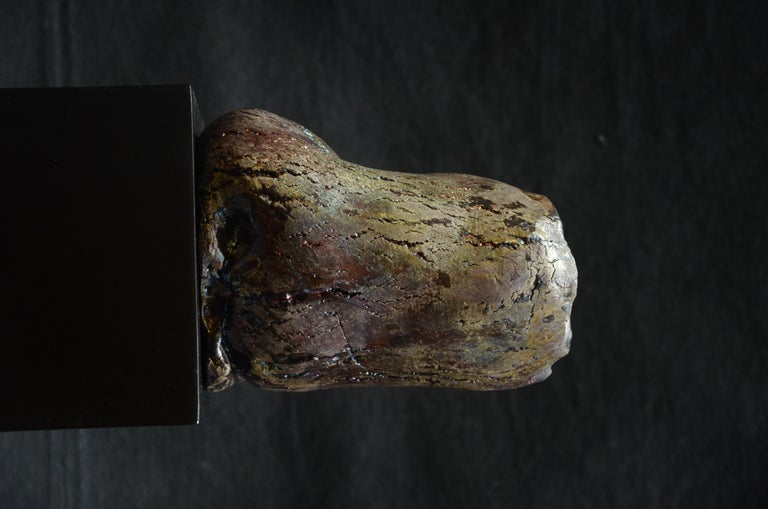 Raku Skin Sculpture by Vica Ceramica For Sale at 1stDibs