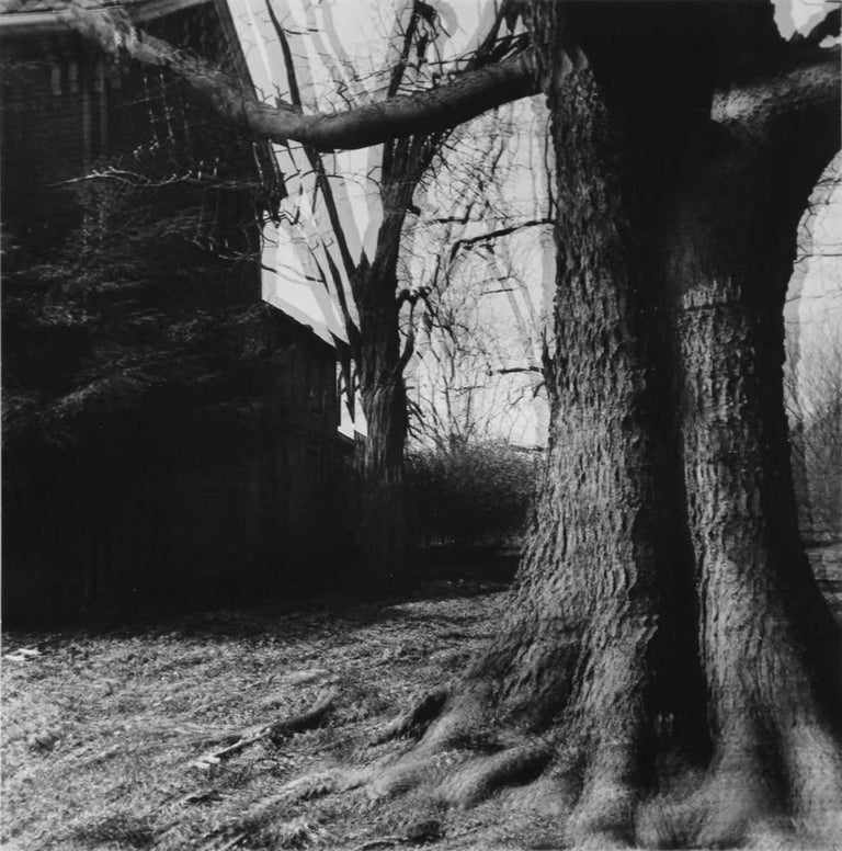 Ralph Eugene Meatyard - Untitled ("Motion-Sound" Landscape) For Sale at ...