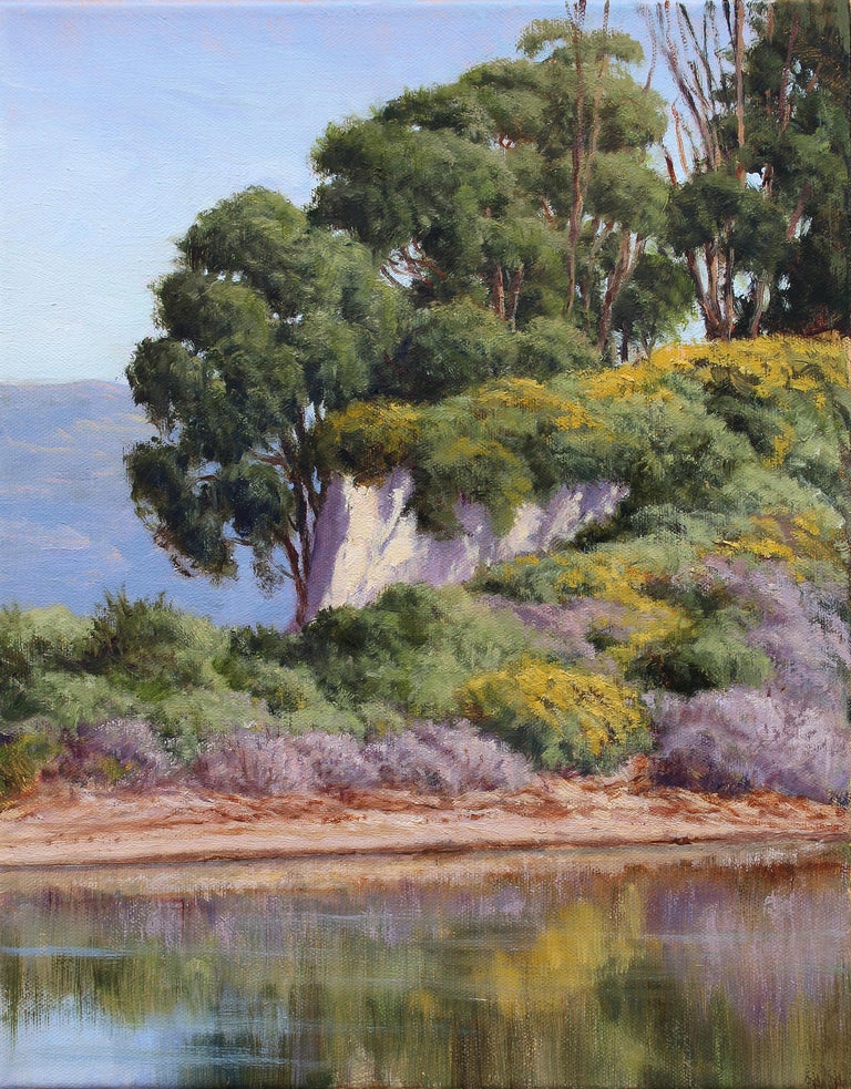 Ralph Waterhouse - Spring, Goleta Gap For Sale at 1stDibs