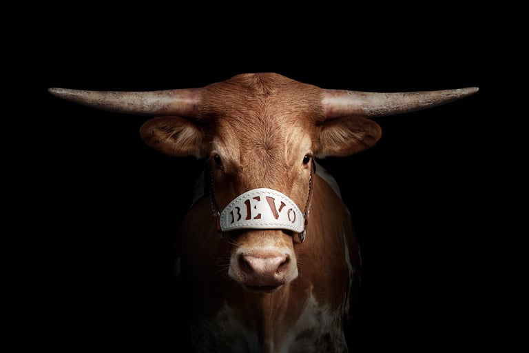 Randal Ford - Bevo XV Black (40" x 60") For Sale at 1stDibs | baby bevo
