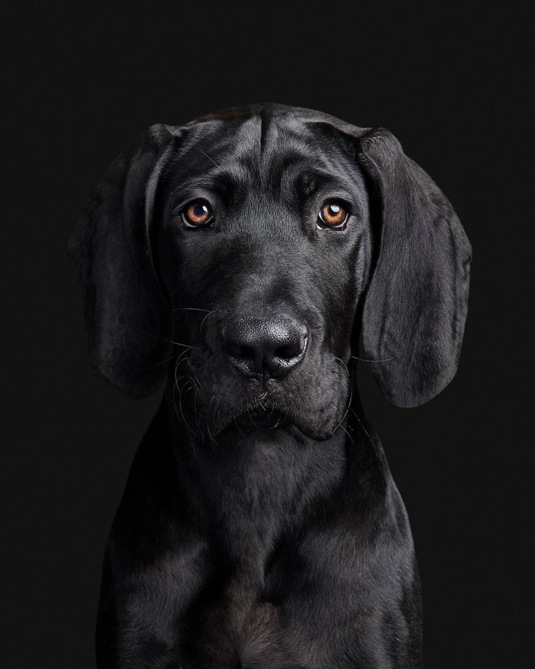 Randal Ford - Raúl (50" x 40") For Sale at 1stDibs