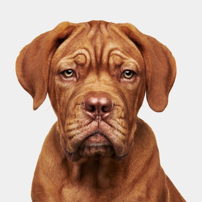 Randal Ford - Slidell No. 1 (40" x 40") For Sale at 1stDibs