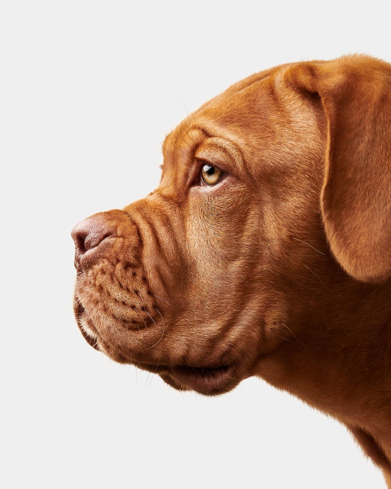 Randal Ford - Slidell No. 2 (48" x 48") For Sale at 1stDibs