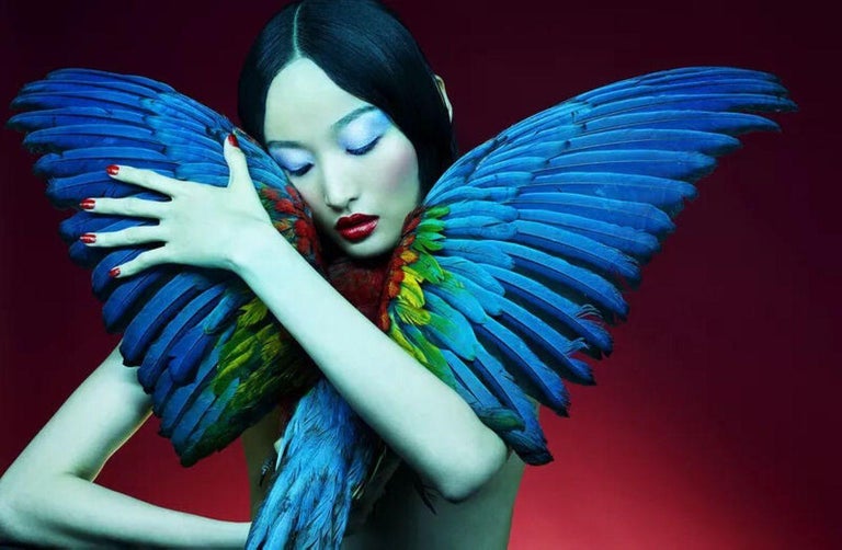 Rankin - Birdsong - model with a colorful bird For Sale at 1stDibs