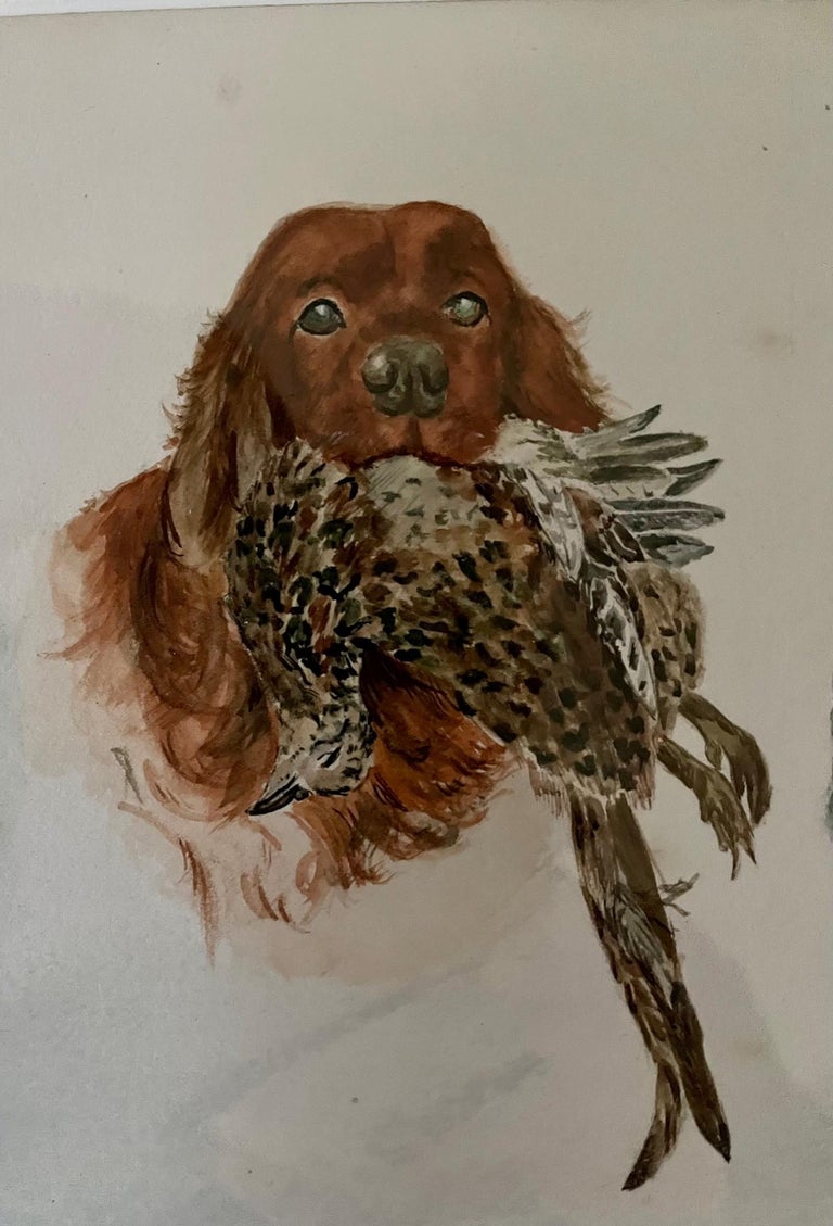 Raoul Millais, Watercolor, Working Dogs For Sale at 1stDibs