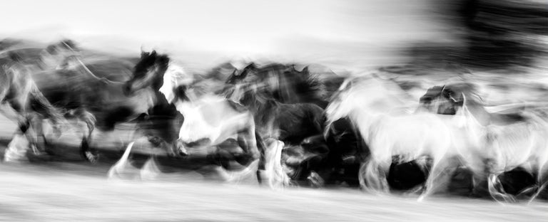 Raphael Macek - Angeli ( 44" x 88" ) For Sale at 1stDibs