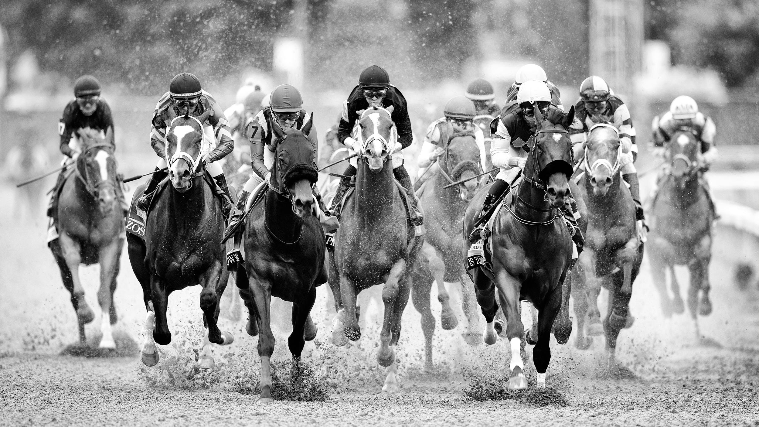Raphael Macek - Curvarum, Horse Portrait, Equestrian Photography For ...