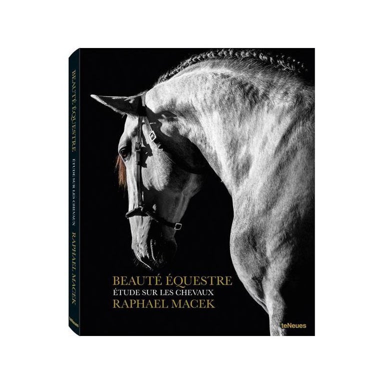 Raphael Macek - Immersion - Horse Photography - Portrait For Sale at ...